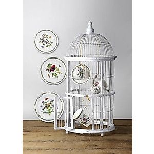 Portmeirion Botanic Garden Birds Collection Salad Plates | Set of 6 Plates 8.5 Inch with Assorted Bird Motifs | Made of Earthenware | Dishwasher and Microwave Safe | Made in England