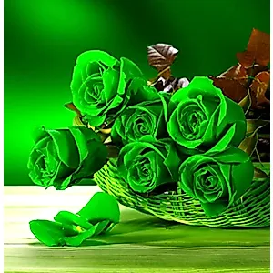 CHUXAY GARDEN Green Rose Seeds 100 Seeds Rare Green Lovely Flower Shrub Flowering Plant Fragrant Gardening Gifts Grows in Garden and pots