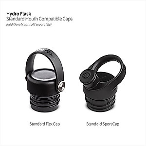 Hydro Flask Water Bottle - Standard Mouth Flex Lid - 21 oz, Spearmint