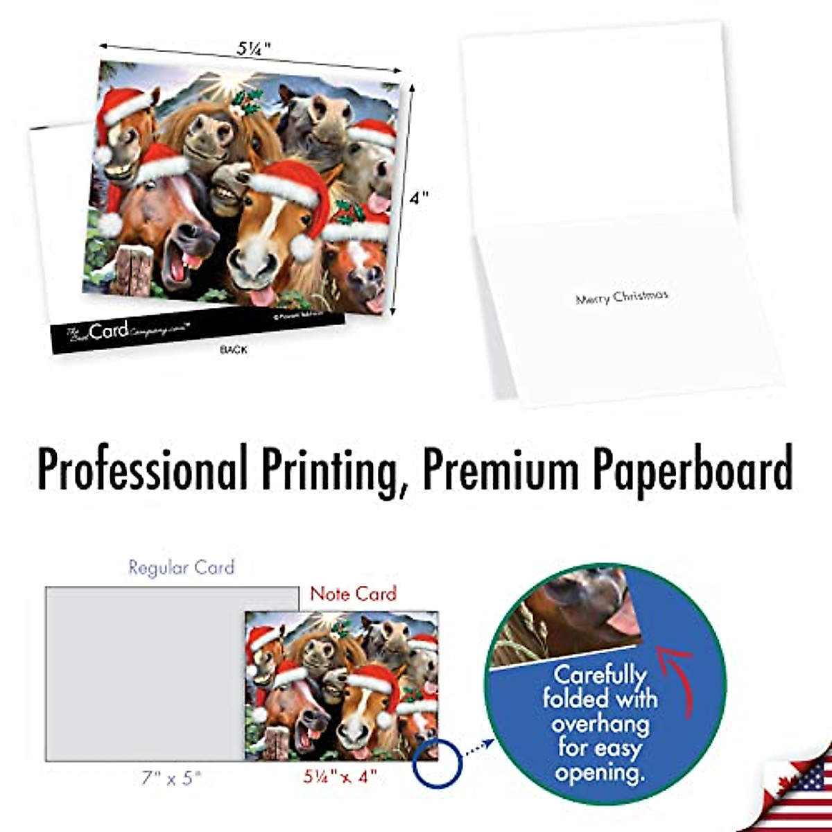 The Best Card Company - Variety Pack of 20 Christmas Greeting Cards with Envelopes, Humor Holiday Assortment for Men and Women (10 Designs, 2 Each) Merry Christmas to Zoo AM6652XSG-B2x10