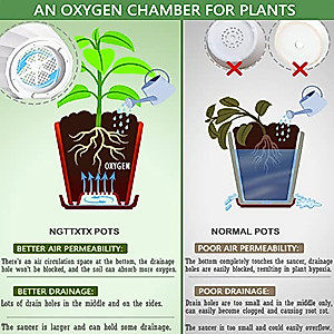 8 Inch Plastic Flower Pots Set 5 Pack with Drainage Holes and Saucers, Tray. Large Planters for Indoor Plants, House, Outdoor Plants, Orchid. Unique Decorative Planting Pots, White