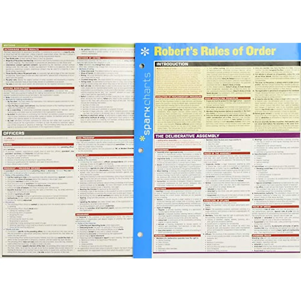 Robert's Rules of Order SparkCharts (Volume 61)
