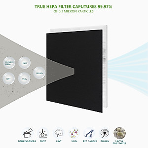 D480 True HEPA Replacement Filter D4, Compatible with D480 Air Purifier, Compare to D4 Filter, 2 H13 Grade True HEPA and 8 Activated Carbon Filters, Item Number 1712-0100-00