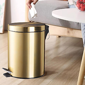 DimyFew Pedal Bin Step Trash Can Slient with Lid and Step Foot Pedal, Slim, Garbage Bin Trash Bin for Home Office Bedroom Living Room
