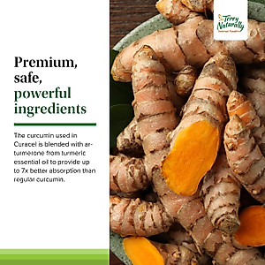 Terry Naturally Animal Health Curacel Curcumin - 60 Softgels - Optimal Cellular Support - Canine Only - 60 Servings