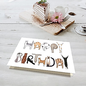 Bhiosng Happy Birthday Card for Cat Lover, Funny Cats Birthday Cards for Men Women, Cute Cat Owner Birthday Gift From Cat, Humor Cat Birthday Gift Card For Dad Mom Brother Sister Cat Lover