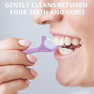 PLACKERS Gentleslide Dentla Flossers for Tight Teeth 90 ea (Pack of 2)