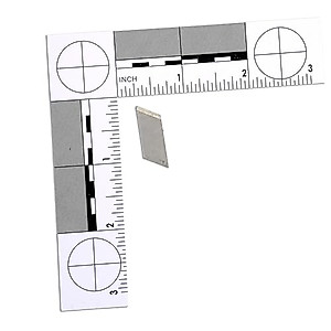 No. 2 Photomacrographic Scale (Inches)