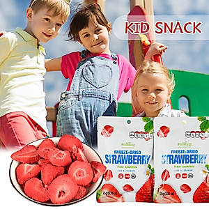 ONETANG Freeze-Dried Fruit Strawberry, 10 Pack Single-Serve Pack, Non GMO, Kosher, No Add Sugar, Gluten free, Vegan, Holiday Gifts, Healthy Snack 0.35 Ounce