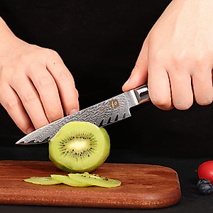 Dnifo Kitchen Utility Knife 5 Inch, Damascus Steel Kitchen Knives -Super Sharp Ultimate All-Purpose Knife for Slicing, Mincing, Chopping - Non-stick Blade and Anti-rusting Forged