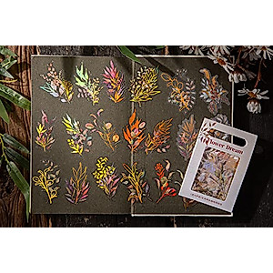 LakoArt 240 Pieces Gold Foil Botanical Stickers with Clear Background, Holographic Flower Eucalyptus Scrapbooking Sticker Floral Decals for Journaling Bullet Journal Planner Card Making DIY Crafts