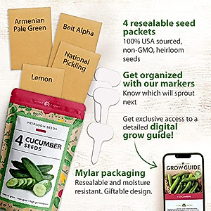 4 Cucumber Seeds Variety Pack - Cucumber Seeds for Planting - National Pickling, Beit Alpha, Armenian Pale Green, & Lemon Cucumbers to Plant Outdoors in Your Vegetable Garden