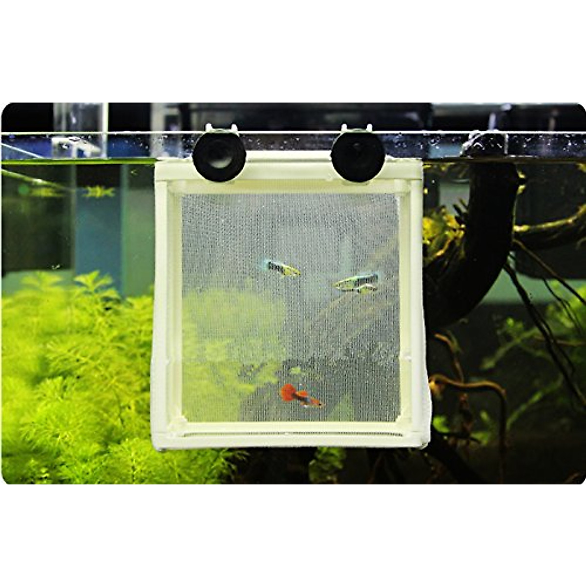 White Nylon Mesh Fish Fry Hatchery Breeder Box Separation Net by XMHF
