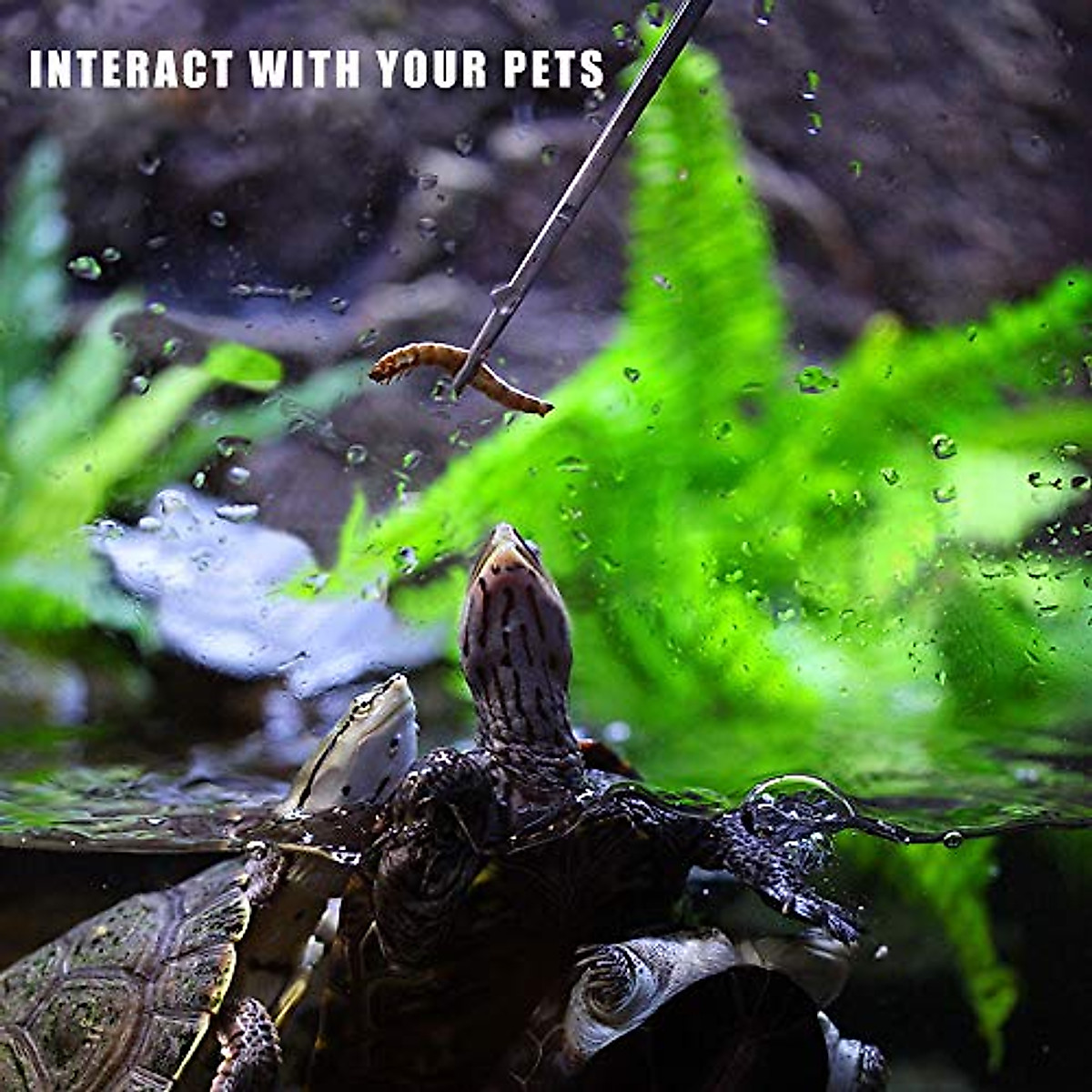 Longjet Feeding Tongs, 2 Pcs 10.6 Inch Stainless Steel Long Tweezers Forceps, for Reptile Lizards, Gecko, Bearded Dragon, Snake, Turtle Feeder and Aquarium Aquatic Plant Bonsai Starter Tools