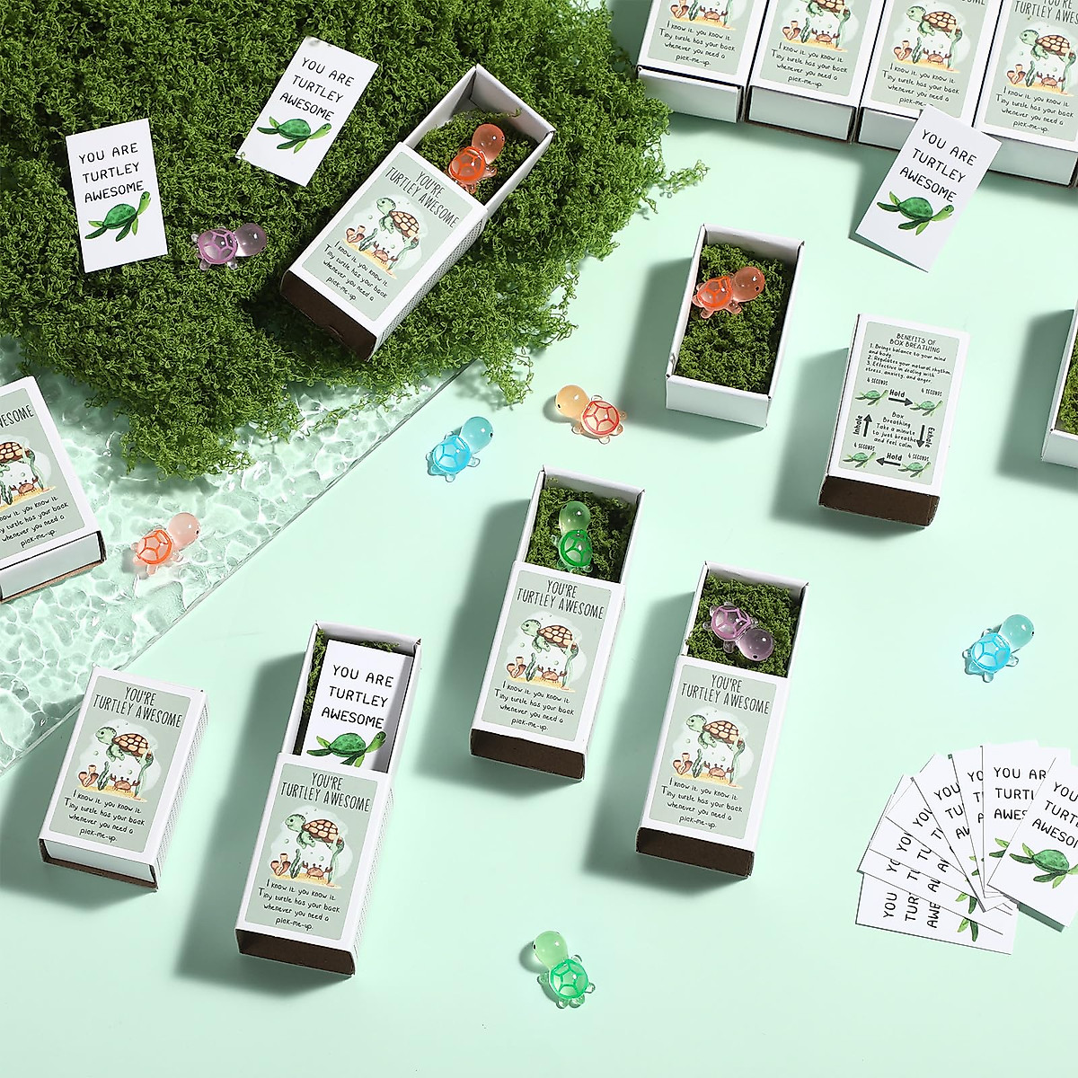 Wonderjune 36 Sets Christmas Employee Appreciation Gifts Bulk Emotional Support Cheer Gifts Christmas Small Gifts for Coworkers Inspirational Mail Positive Gifts for Team Staff (Turtle)