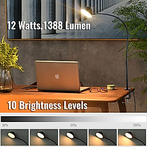 CeSunlight Clamp Lamp, Clip on Lamp, Desk Lamp with Clamp, 12W, 1300 LMS, 3 Color Modes, 10 Brightness Levels, 30 Inches Long Gooseneck Light, Perfect for Sewing, Reading, Home, Office
