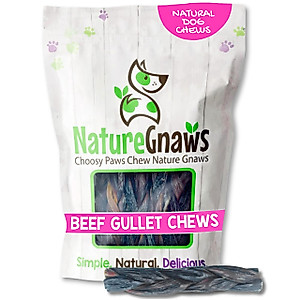 Nature Gnaws Braided Beef Jerky Chews for Dogs 5-6" (10 Count) - Long Lasting for Small and Medium Dogs - Natural Beef Gullet Dog Chew Bones