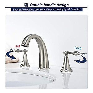 HOMELODY Widespread Bathroom Faucet 8 Inch Lavatory Faucet 2 Handle with Pop Up Drain and Supply Hose, Brushed Nickel