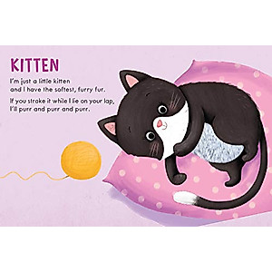 Baby Animals: A Touch and Feel Book - Children's Board Book - Educational