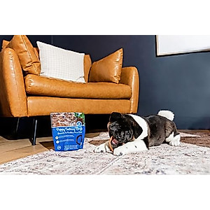 N-Bone Puppy Teething Rings Peanut Butter Flavor Dog Treat, 3 Count Bag, 3.6-oz