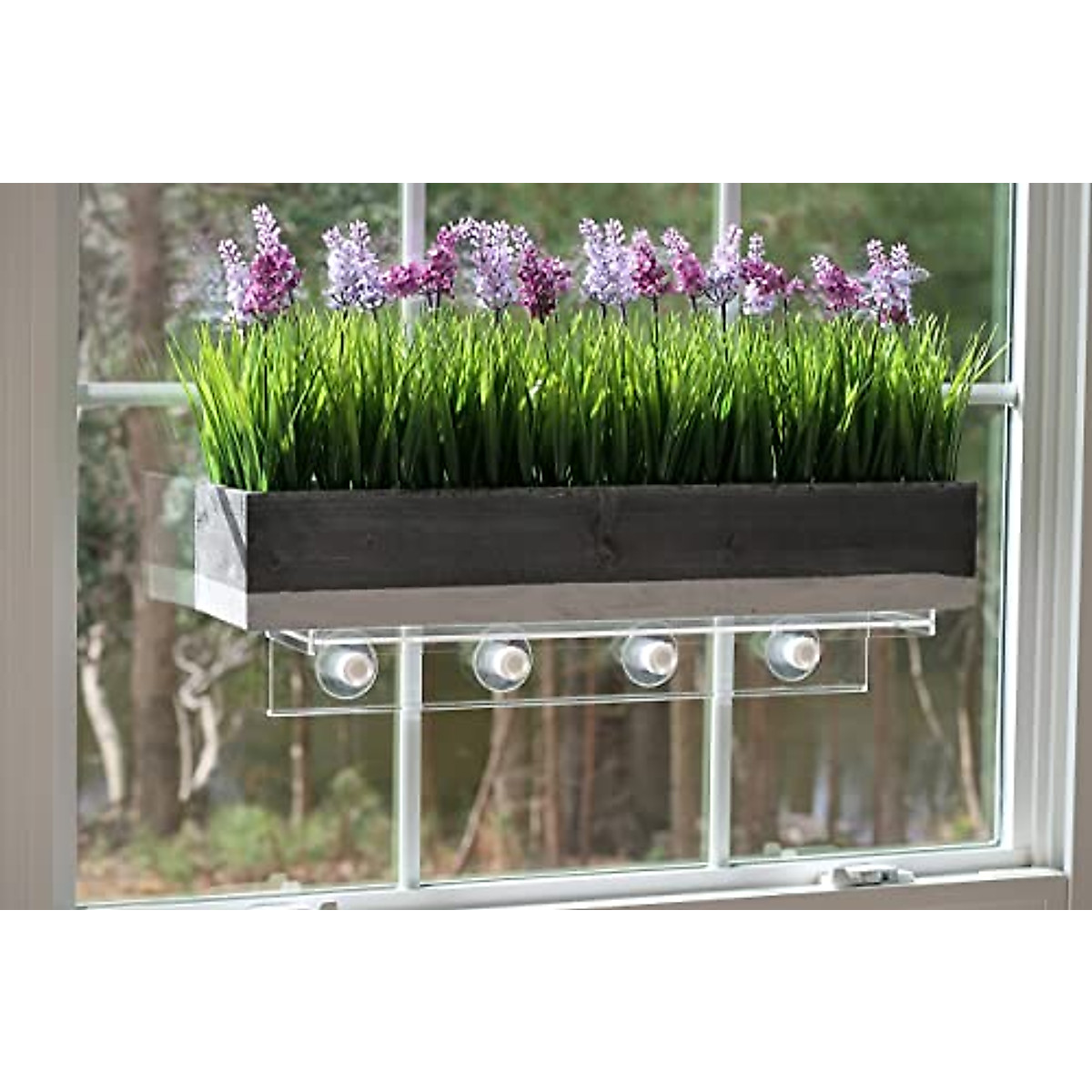 LaBrinx Designs Extra Large Suction Cup Shelf - Live Plants, Windows, and Bathrooms