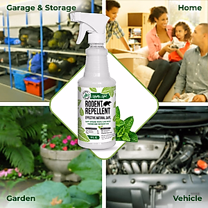 Mighty Mint Peppermint Oil Rodent Repellent Spray, for Indoor/Outdoor Use, 16oz