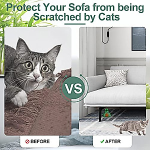 5 Pack Natural Cat Repellent Outdoor Indoor, Peppermint Oil Cat Deterrent Outdoor Repels Cat Dog Deer Rabbit from Garden Yard Lawn Home Keep Your Yard Lawn Porch Furniture Curtain from Cat Damages