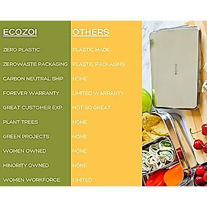 ecozoi Stainless Steel Lunch Chillers - Ice Packs for Lunch Bags, Lunch Boxes, Bento Boxes and Coolers - 2 Pack, Plastic-Free and Sustainable