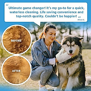 6 Hypoallergenic Pet Grooming Cleaning Wet Wipes Mitt - No Water or Shampoo Needed, Deoderizing, Conditioning, Mouisturing, Fresh, Pet Supplies No Mess Mitts - UNSCENTED