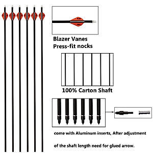 SinoArt Carbon Arrows 100% Carton Fiber Shaft 340/400/500 Spine Press-Fit Nocks Vanes Arrows for Bow Pack of 6 or 12 (12pack, 400Spine)