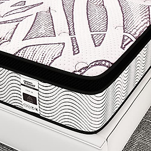 Teoanns Queen Mattress, 12 Inch Memory Foam Mattress in a Box, Individually Wrapped Coils Pocket Springs Hybrid Mattress, Medium Firm for Supportive and Pressure Relief, 100-Night Trial…