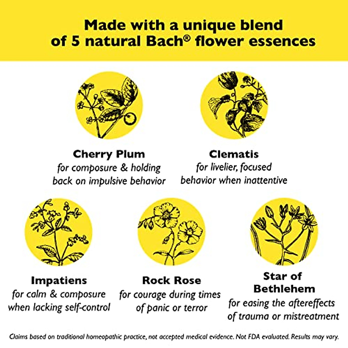 Bach RESCUE REMEDY PET for Dogs 20mL, Natural Calming Drops, Stress Relief for Dogs & Puppies, Caused by Separation, Thunder, Fireworks, Homeopathic Flower Remedy