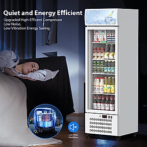 GarveeTech Commercial Merchandiser Refrigerator,11.3 Cu.Ft Glass Door Display Refrigerator,Drink Cooler Beverage Fridge With Soft Led Light, 4 Adjustable Shelves, White