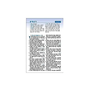Big Letter Korean Bible Middle size zipper Index 큰글자 성경전서 초코 새찬송가 지퍼 색인 중 사이즈