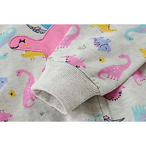 DDSOL Toddler Little Girl Zip Up Hoodie Grey Dinosaur Jacket Zipper Hooded Sweatshirt Long Sleeve Shirt Coat Outwear Cotton Kid Pullover Top Spring Fall Winter Clothes for Baby Size 5T