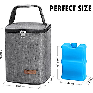 Baby Bottle Bag Insulated Breastmilk Cooler Bag with Ice Pack, Reusable Baby Bottle Tote Bag for up to 6 Bottles 4 Large 9Oz Bottles, Freezer Lunch Bag, Perfect for Daycare or Back to Work Nursing Mom