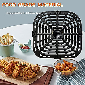 Air Fryer Grill Pan for Instants Vortex 2QT Mini Air Fryer Oven, Premium Air Fryer Grill Crisper Plate, Air Fryer Grate Grid with Rubber Tabs for Instants 2QT Air Fryer, Nonstick, Dishwasher Safe