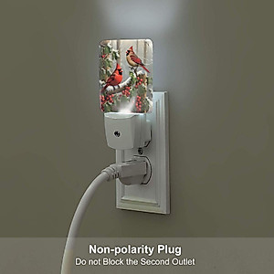 Christmas Red Birds Night Light Set of 2, Winter Snow Auto Sensor LED Dusk-to-Dawn Nightlights, Plug-in Sensor Lamp for Bedroom Bathroom Kitchen Hallway Stairs Decorative