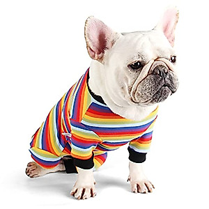 Etdane Dog Surgical Recovery Suit Pet After Surgery Onesies Long Sleeve for Female Male Doggy Alternative Cone E-Collar Rainbow Stripe/S