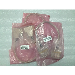 Cisco CAB-STACK-50CM Stackwise 50cm Stacking Cable 1.6 FT (Renewed)