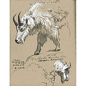 Faber Castell Water Based Marker Pit Artist Pen 101 White 1.5 167893