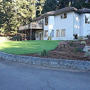 Outsidepride Perennial White Miniclover® Lawn Clover & Ground Cover Seeds - 1 LB