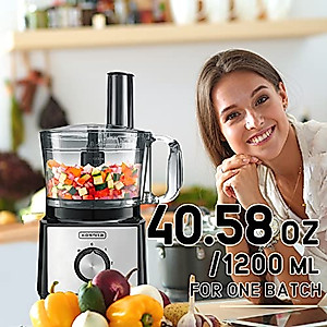 Kognita Blender and Food Processor Combo, 500W 8 in 1 Smart Kitchen Blender with 2 Speeds, 4 Stainless Steel Blades, Dough Blade and Emulsifying Disc for Chopping,Kneading,Shredding and Slicing - 6-Cup Bowl,Silver