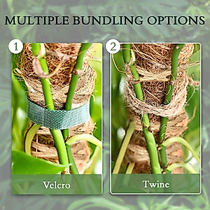 Moss Pole for Plants Monstera - 47 Inch Plant Stakes for Indoor, Moss Poles for Climbing Plants, Handmade Coco Coir Pole Plant Support for Creeper Plants Grow Upwards（Winding）