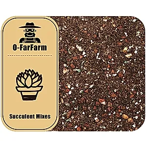 O-FarFarm Succulent Soil Potting Mix 2.2 LBS, Optimized PH Fast Draining with Added Nutrients, Perfect for Small Succulent Pots