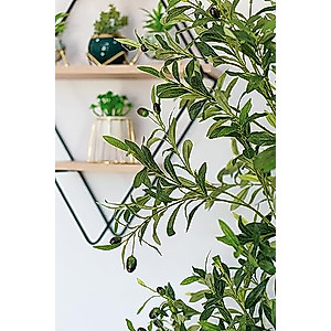 Artificial Olive Tree 6FT for Home Decor Indoor Bonus 20 ft String Light .Olive Trees Artificial Indoor Tree-Faux Olive Tree 6FT,Fake Olive Tree Faux Trees Indoor Tree,Faux Tree,Olive Tree Artificial.