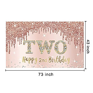2nd Birthday Banner Backdrop Decorations for Girls, Rose Gold Happy 2 Year Old Birthday Sign Party Supplies, Pink Second Birthday Poster Background Photo Booth Props Decor