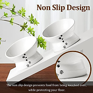 Yedio Porcelain Raised Cat Bowl, Tilted Cat Food Bowl with Anti Slip Band, Stress Free, Elevated Porcelain Pet Bowl Protect Pet's Spine, Backflow Prevention, Dishwasher Safe, White
