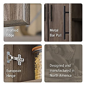 Prepac Elite Functional Wardrobe Closet Cabinet with Hanging Rail, Simplistic 2-Door Armoire Portable Closet 20" D x 32" W x 65" H, Drifted Gray, DEW-3264