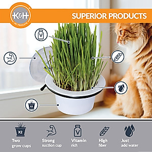 K&H Pet Products EZ Mount Cat Grass Grow Station for Window - Healthy Home Grown Grass Cat Kit for Bored Indoor Adult Cats, Pairs Purr-fectly with Cat Window Perches, Farmed in USA Non-GMO Grass